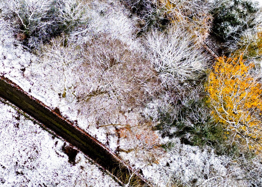 Clients - Sara Porter Photography